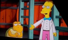 Turtles on The Simpsons - Wikitheus