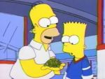 Turtles on The Simpsons - Wikitheus