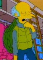 Turtles on The Simpsons - Wikitheus