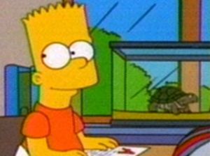 Turtles on The Simpsons - Wikitheus